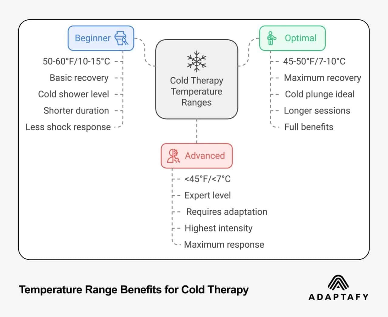Cold Shower Vs Cold Plunge For Recovery: Which Method Wins?